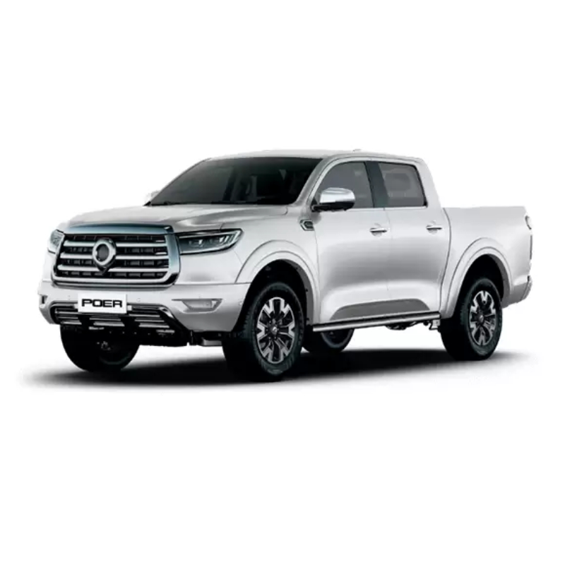 GWM POER PLUS – Anfruns Motors